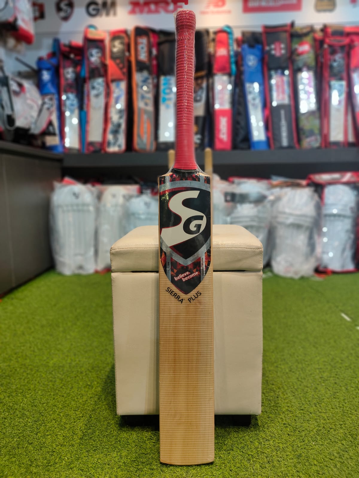 CRICKET BAT SG